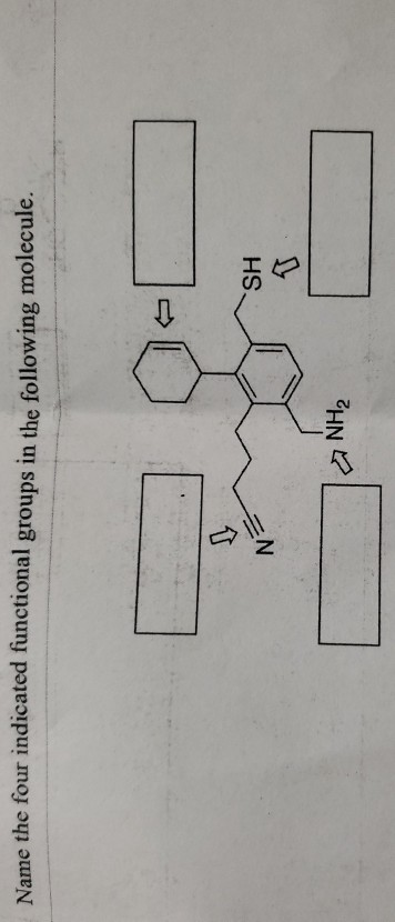 Solved Name the four indicated functional groups in the | Chegg.com
