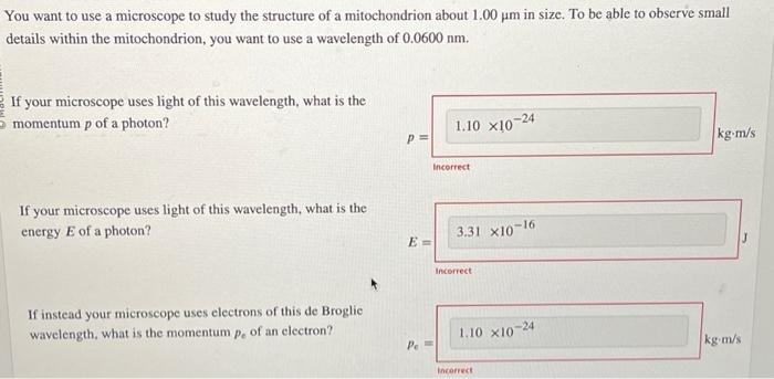 Solved You want to use a microscope to study the structure | Chegg.com