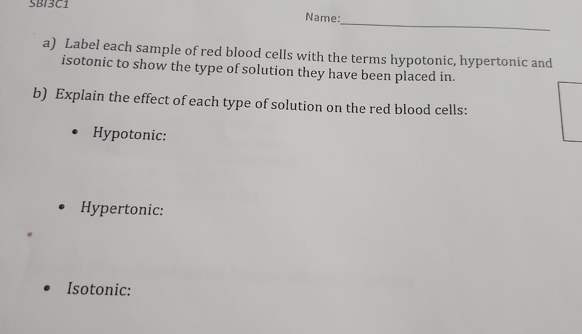Solved SB3C1Name:a) ﻿Label each sample of red blood cells | Chegg.com
