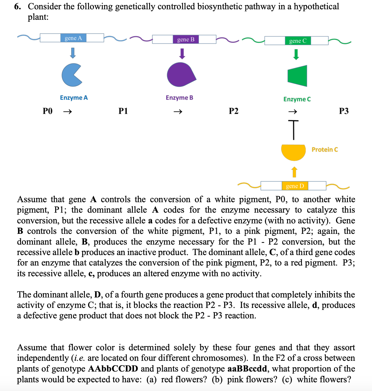 Solved Consider the following genetically controlled | Chegg.com