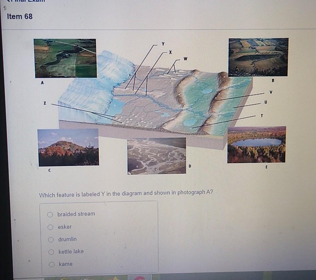 Solved Item 68 D Which feature is labeled Y in the diagram | Chegg.com