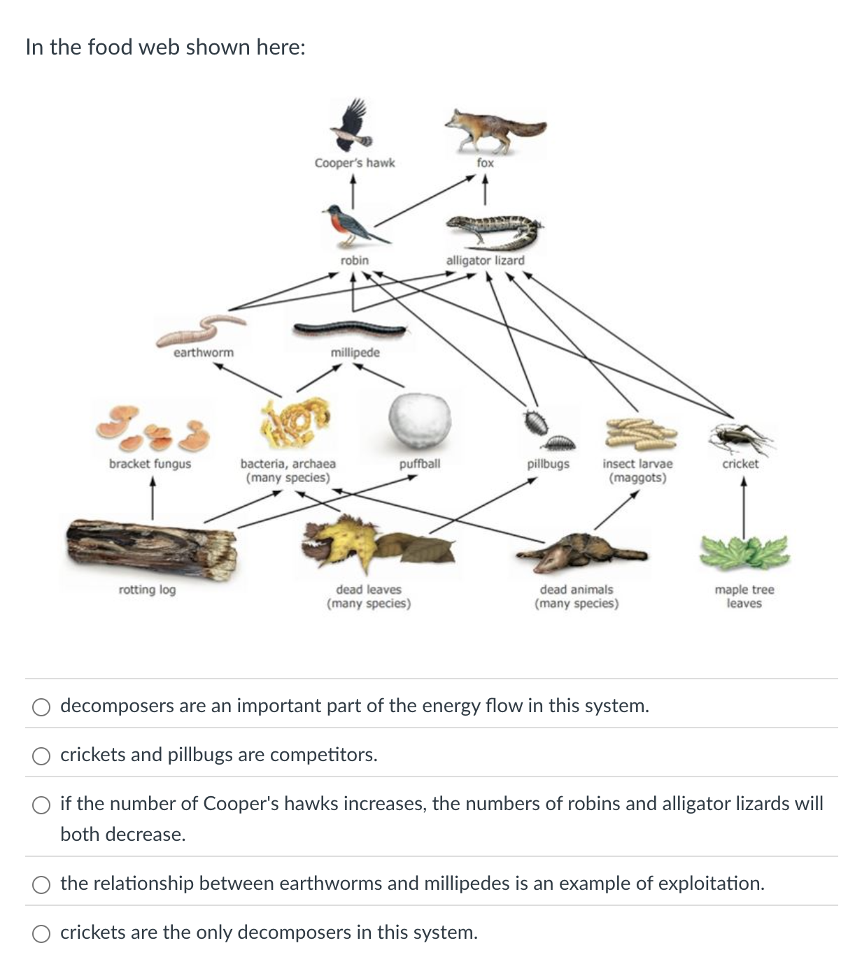 Solved In the food web shown here:decomposers are an | Chegg.com