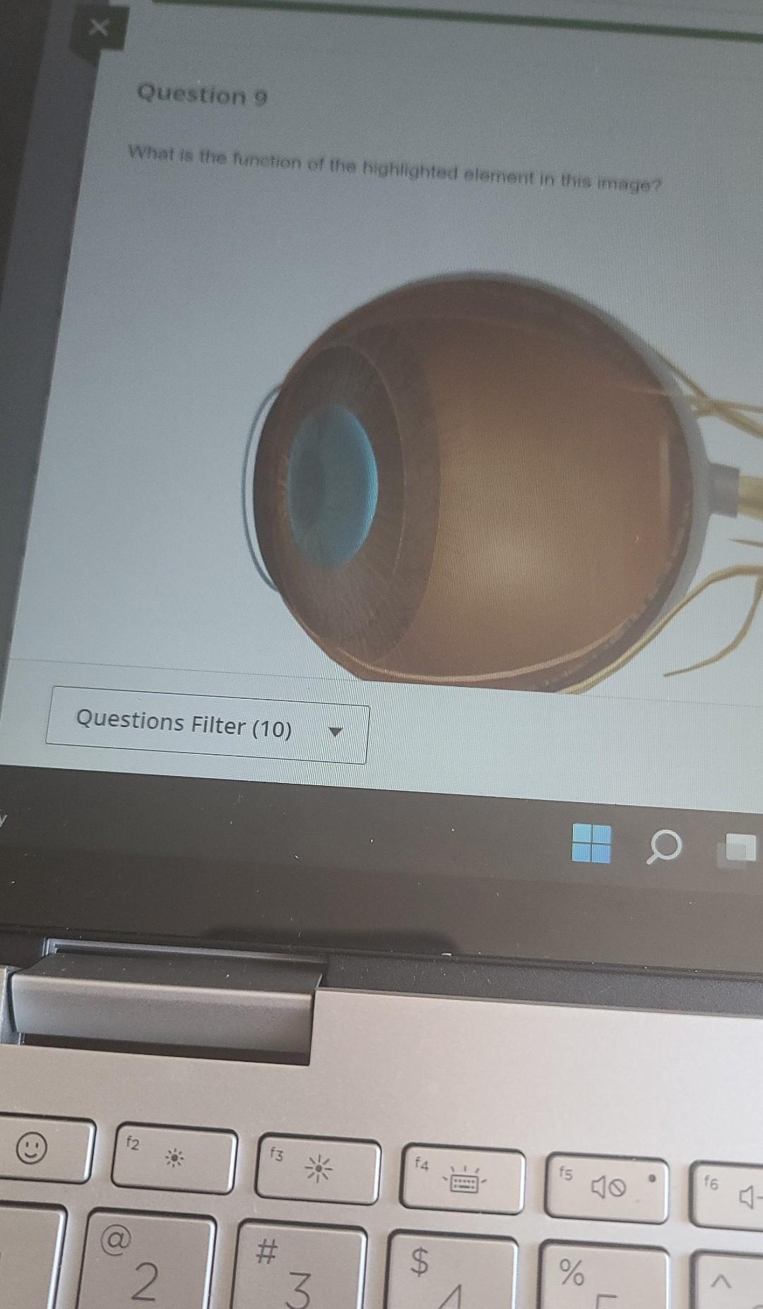 Solved What is the function of the highlighted element in | Chegg.com