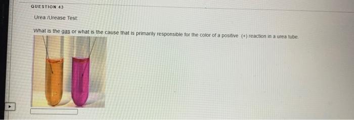 Solved QUESTION 43 Urea /Urease Test What is the gas or what | Chegg.com