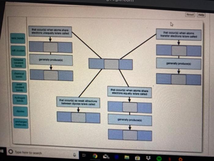 Solved Complete the concept Map to differentiate amoung | Chegg.com