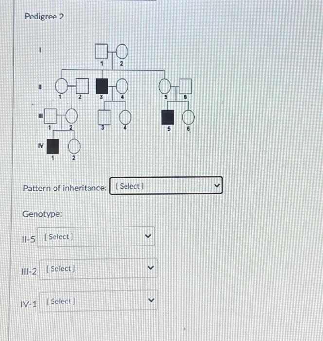 Solved Question | Chegg.com