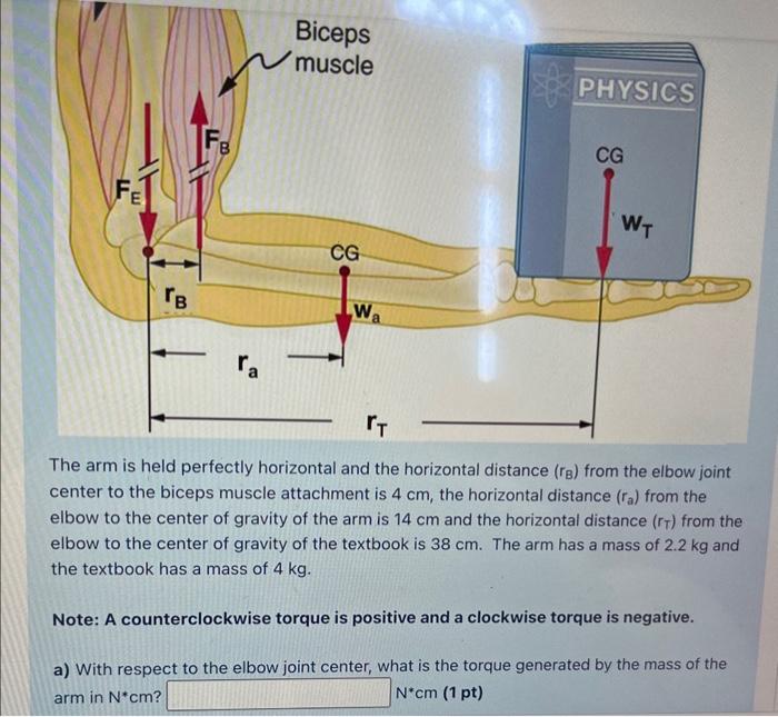 Solved The arm is held perfectly horizontal and the | Chegg.com