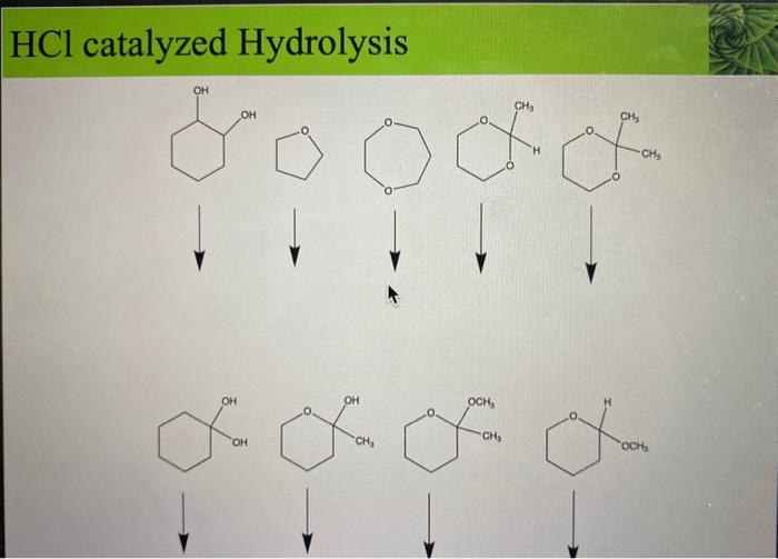 Solved HCl catalyzed Hydrolysis | Chegg.com