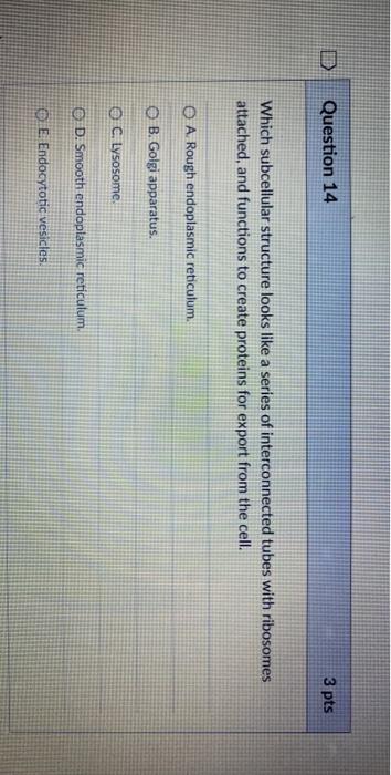 Solved Question 14 3 pts Which subcellular structure looks | Chegg.com