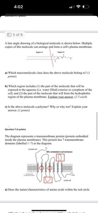 Solved A line angle drawing of a biological molecule is | Chegg.com