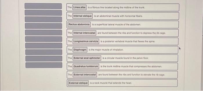 Solved match each term listed on the left with its correct | Chegg.com