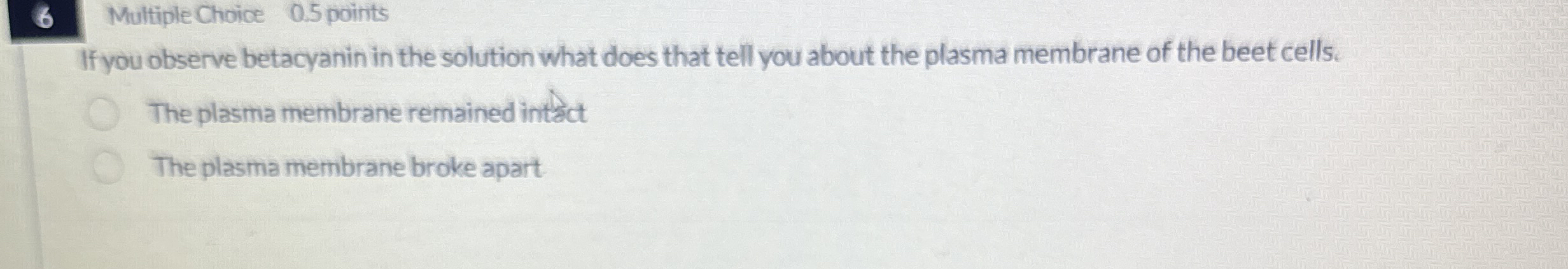 Solved 6 ﻿Multiple Choice 0.5 ﻿pointsIf you observe | Chegg.com