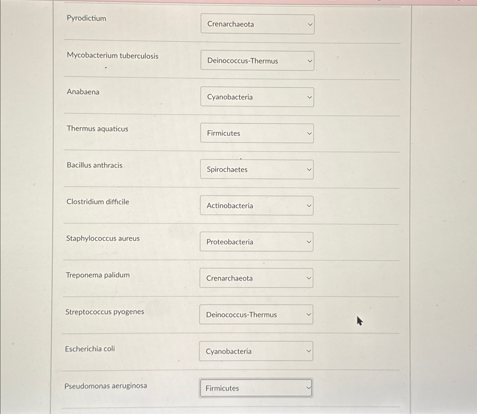 Solved PyrodictiumMycobacterium tuberculosisAnabaenaThermus | Chegg.com