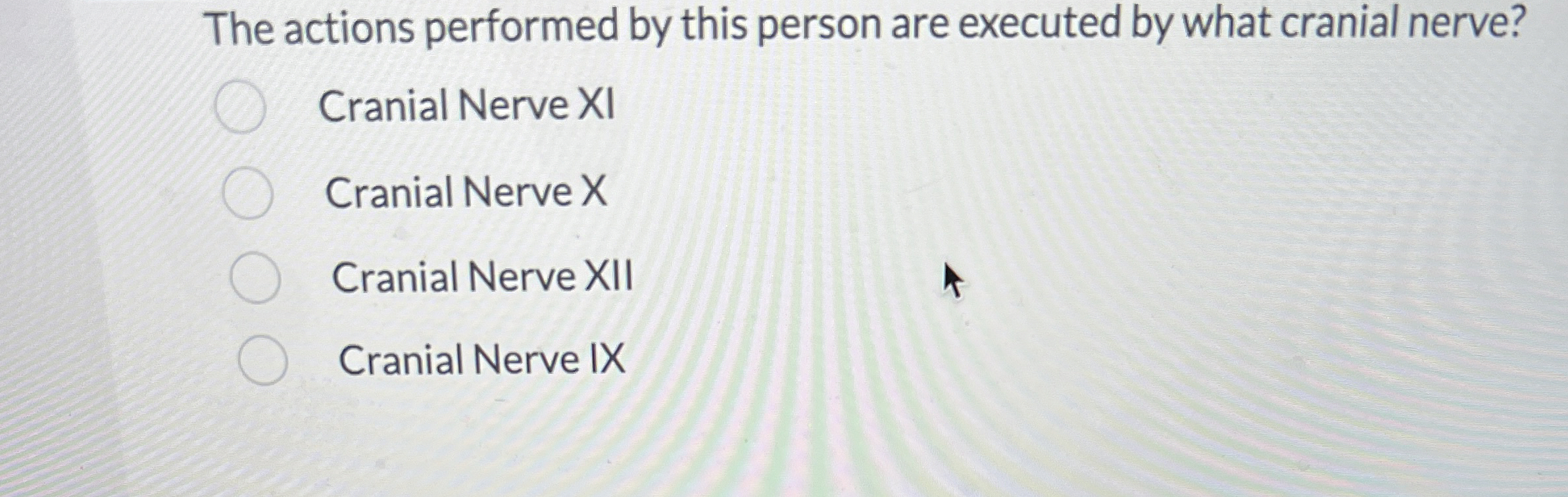 Solved The actions performed by this person are executed by | Chegg.com