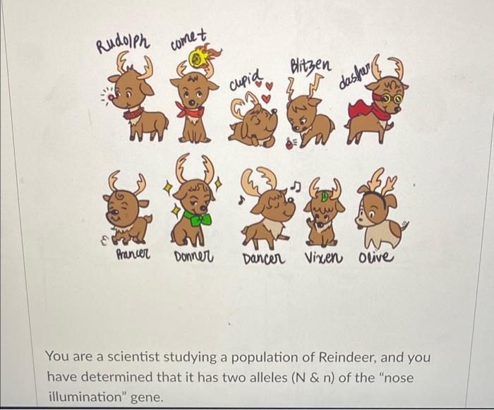 Solved Rudolph comet Blitzen cupid dasher Prancer Donner | Chegg.com