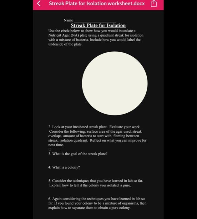 Solved Streak Plate for Isolation worksheet.docx Name Streak | Chegg.com