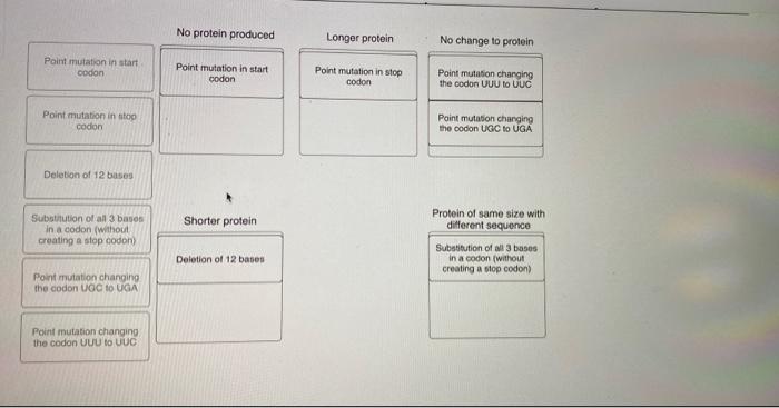 Solved G 1 Classify the likely effect of each mutation. The | Chegg.com