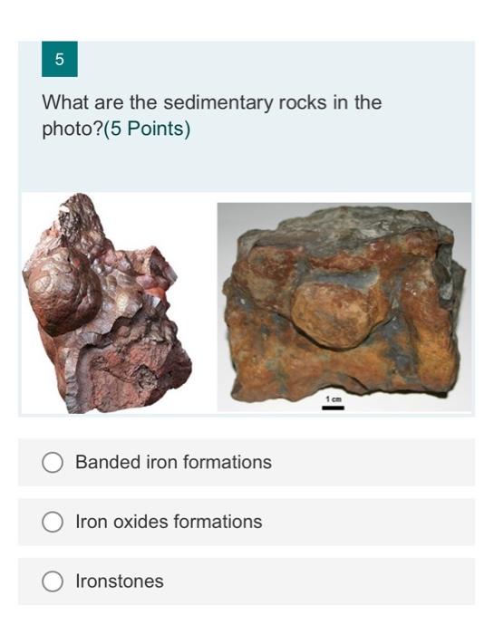 Solved What are the sedimentary rocks in the photo?(5 | Chegg.com