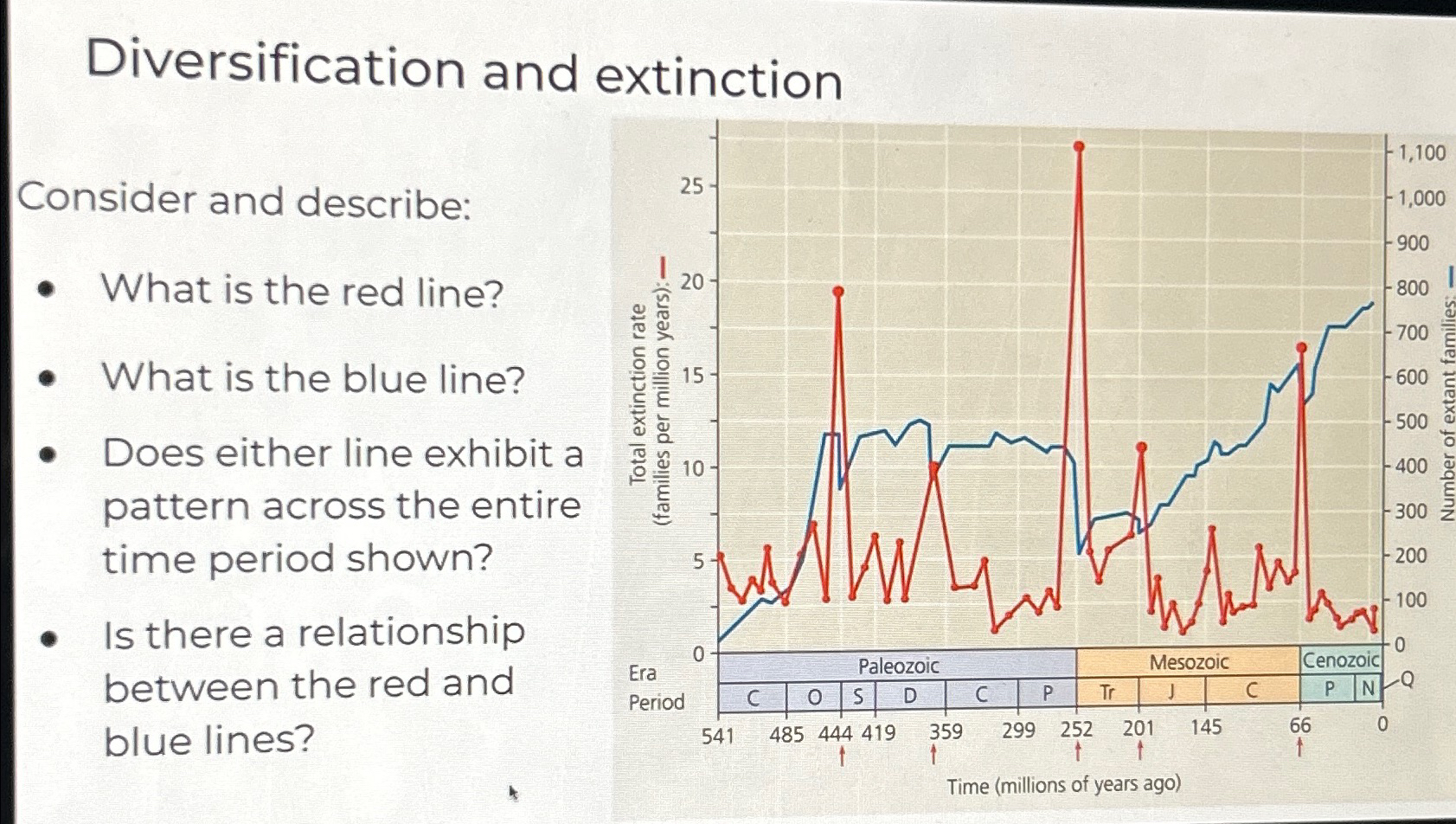 Solved Diversification and extinctionConsider and | Chegg.com