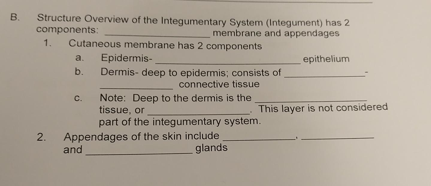 Solved B. ﻿Structure Overview of the Integumentary System | Chegg.com