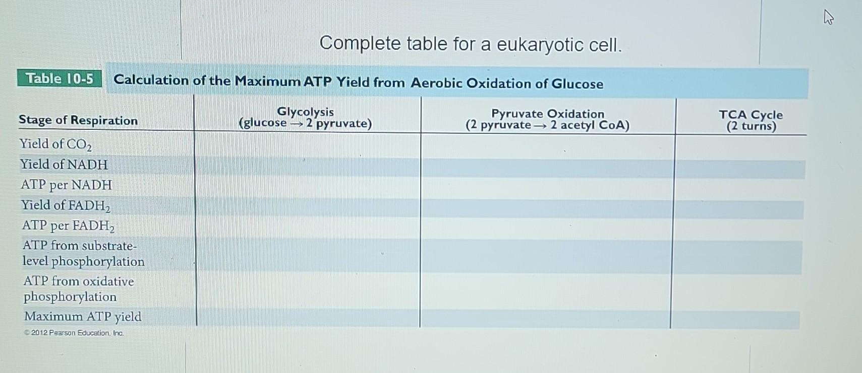 Solved Complete table for a eukaryotic cell. | Chegg.com