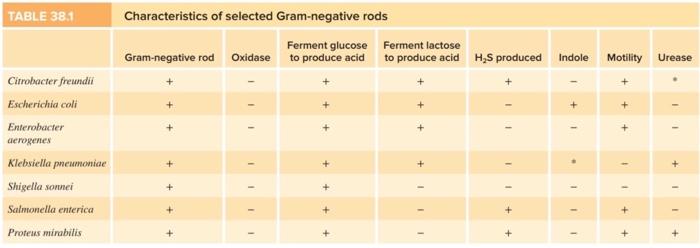 Solved TABLE 38.1 Characteristics of selected Gram-negative | Chegg.com