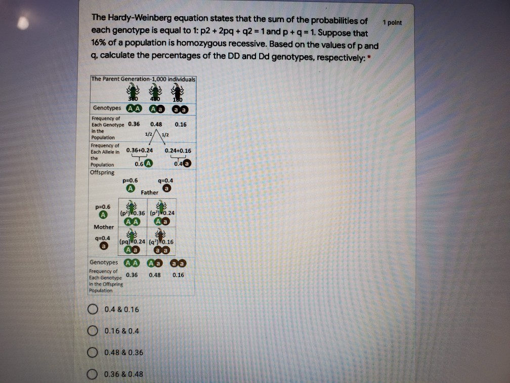 Solved 1 point The Hardy-Weinberg equation states that the | Chegg.com