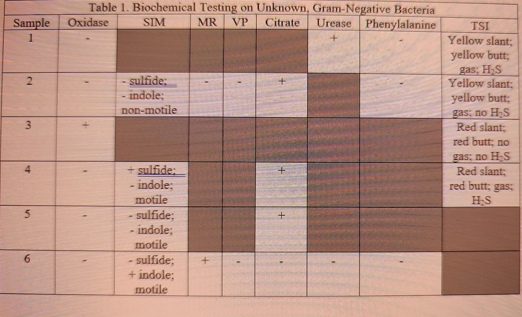 Identity the six bacteria based on the results of | Chegg.com