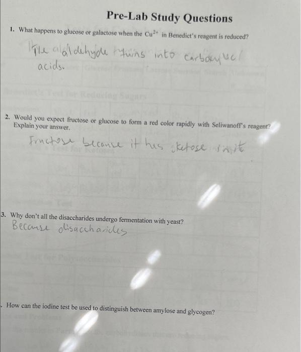 Solved Help!! Pre-Lab Study Questions 1. What happens to | Chegg.com