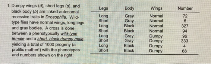 Solved Number 1. Dumpy wings (d), short legs (s), and black | Chegg.com