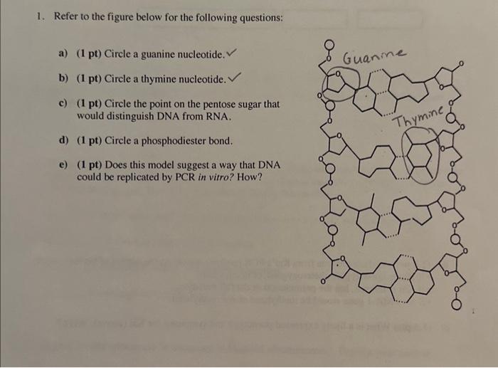 Solved 1. Refer to the figure below for the following | Chegg.com