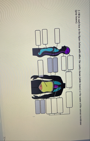 Solved Fill in each box in the figure below with elther the | Chegg.com