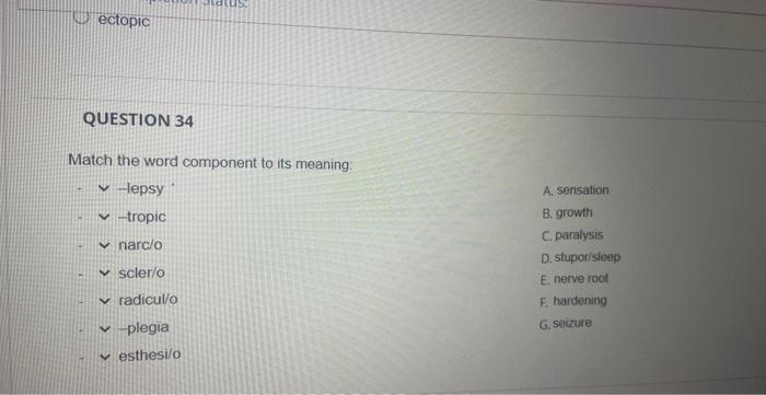 Solved ectopic QUESTION 34 Match the word component to its | Chegg.com