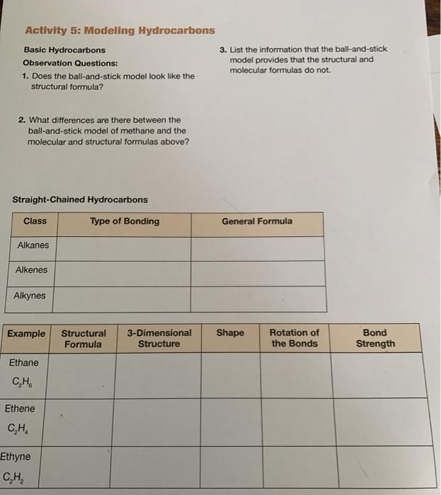 Solved Activity 5: Modeling Hydrocarbons Basic Hydrocarbons | Chegg.com