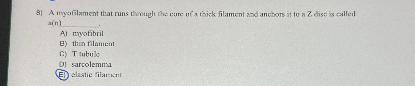 Solved A myofilament that runs through the core of a thick | Chegg.com
