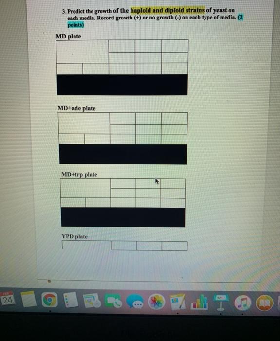 Replica Plating was performed next day following the | Chegg.com