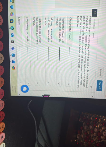 Solved 10Matching1 ﻿pointImagine the process of eating a | Chegg.com