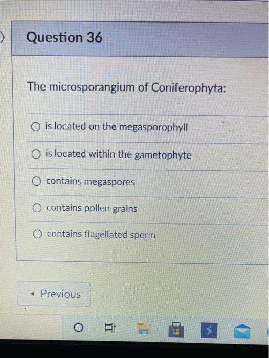 Solved > Question 36 The microsporangium of Coniferophyta: O | Chegg.com