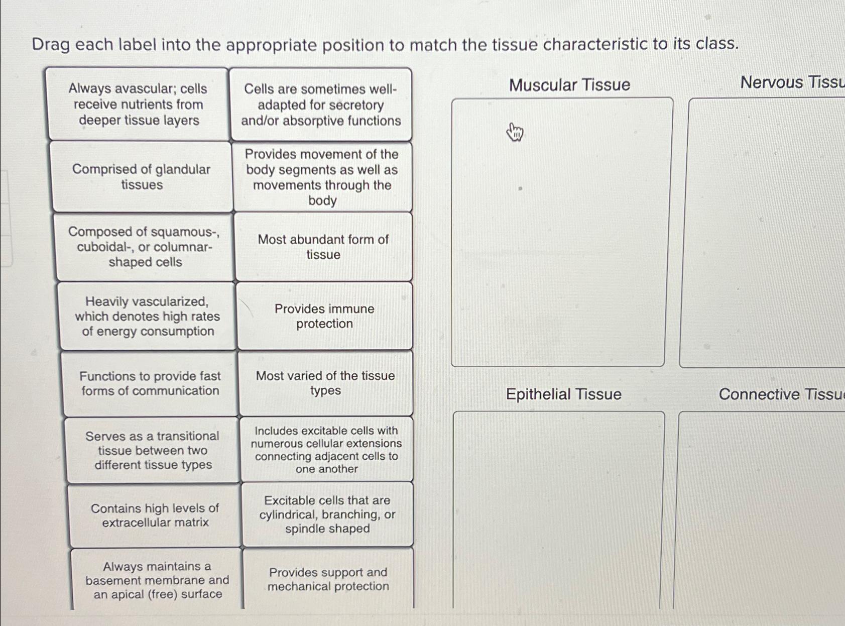 Solved Drag Each Label Into The Appropriate Position To