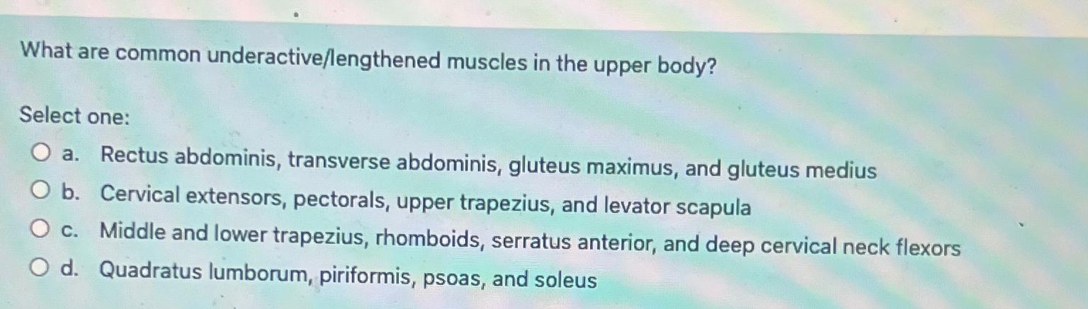 Solved What are common underactive/lengthened muscles in the | Chegg.com
