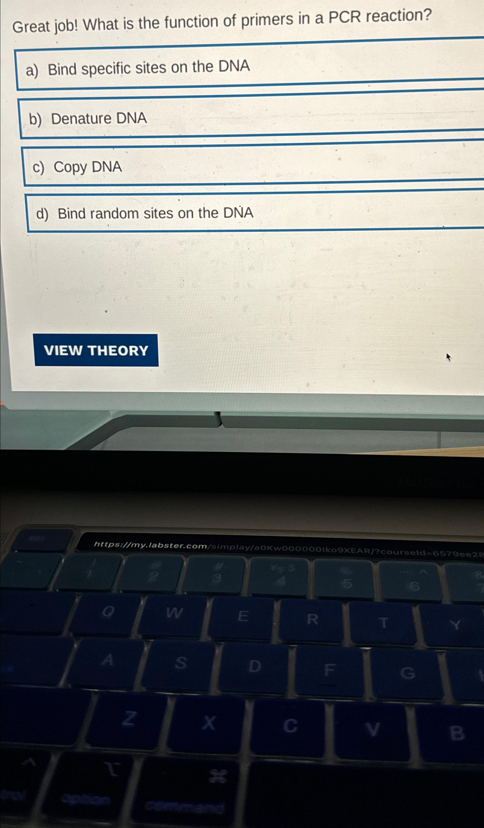 Solved Great job! What is the function of primers in a PCR | Chegg.com