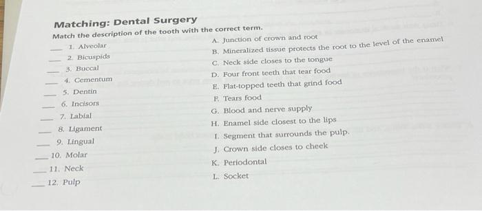 Solved Matching: Dental Surgery Match the description of the | Chegg.com