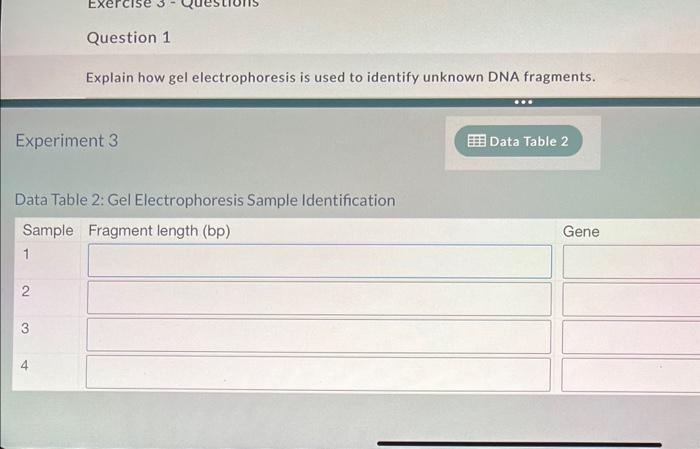 Solved record the identifications if the separated fragments | Chegg.com