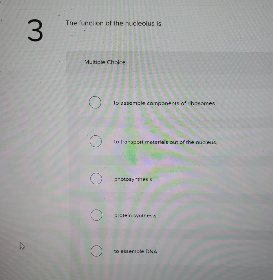 Solved The function of the nucleolus is 3 Multiple Choice to | Chegg.com