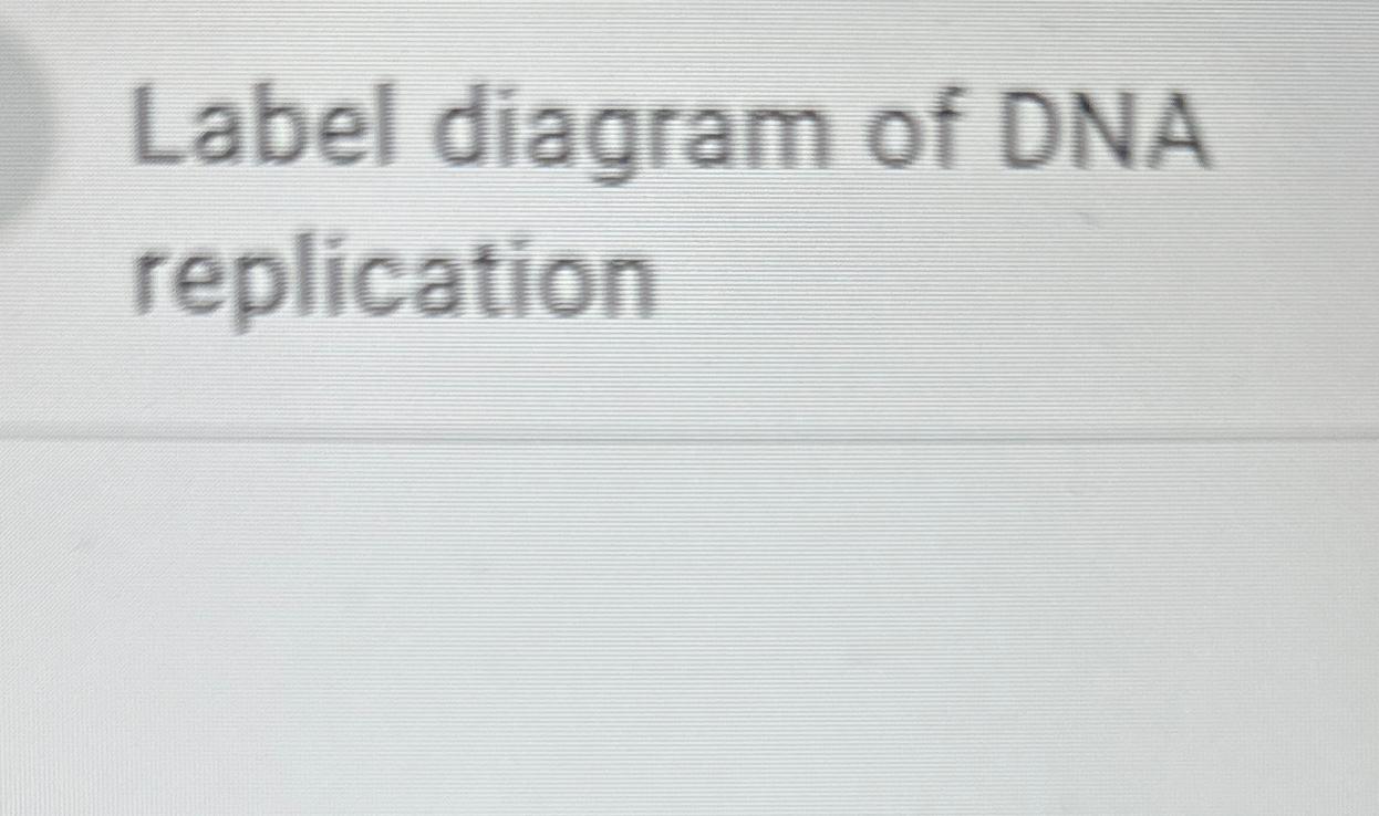 Solved Label diagram of DNA replication | Chegg.com