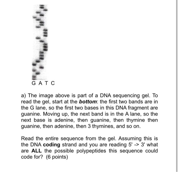 Solved GATC a) The image above is part of a DNA sequencing | Chegg.com