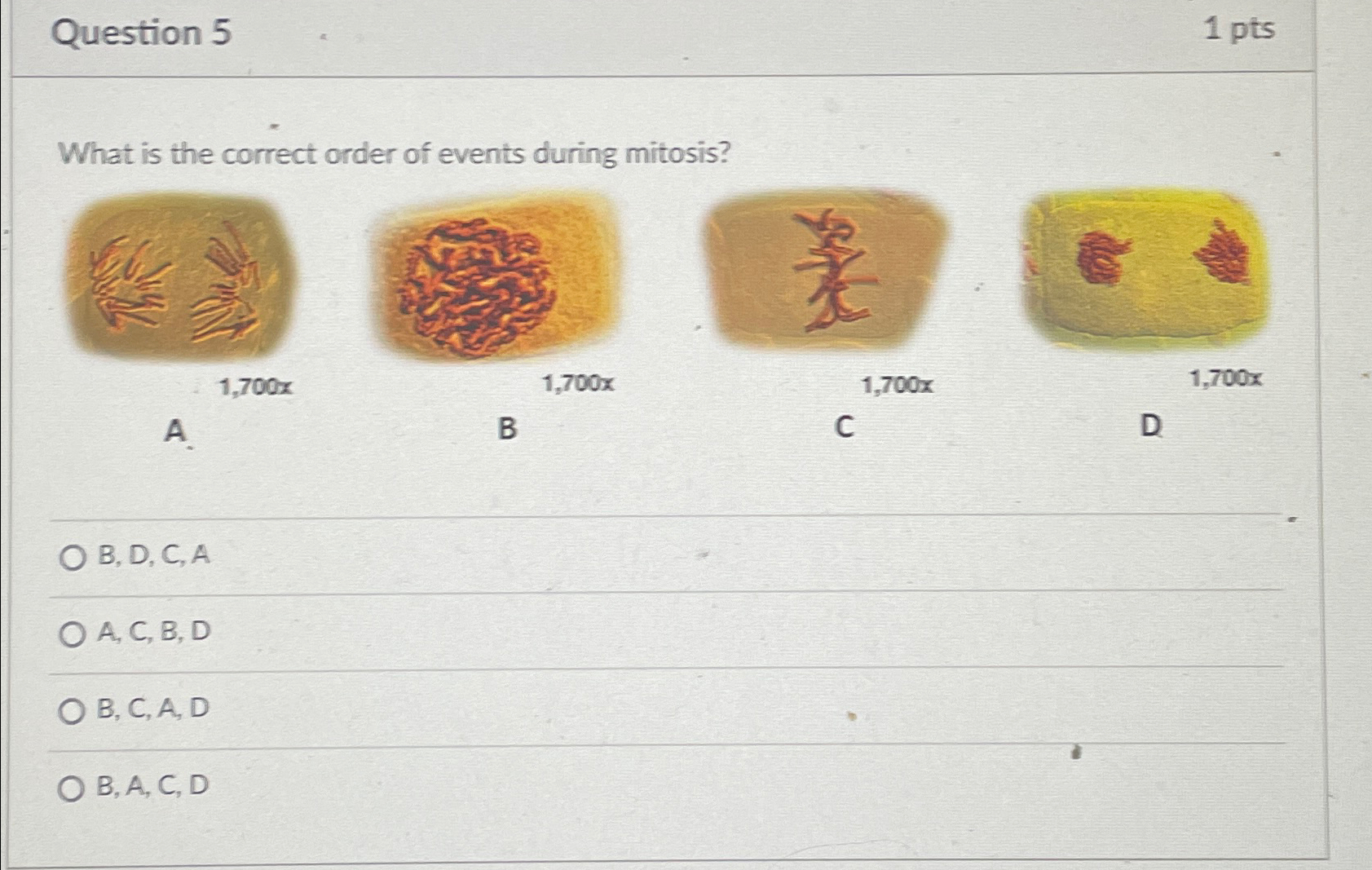 Solved Question 51 ﻿ptsWhat is the correct order of events | Chegg.com