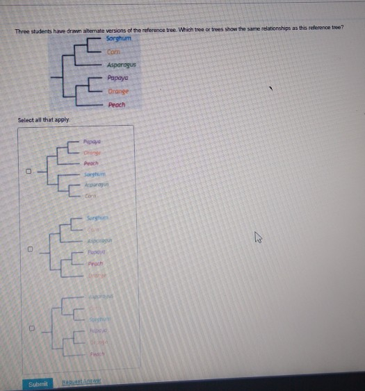 Solved Three students have drawn alternate versions of the | Chegg.com