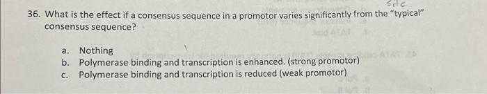 Solved 36. What is the effect if a consensus sequence in a | Chegg.com