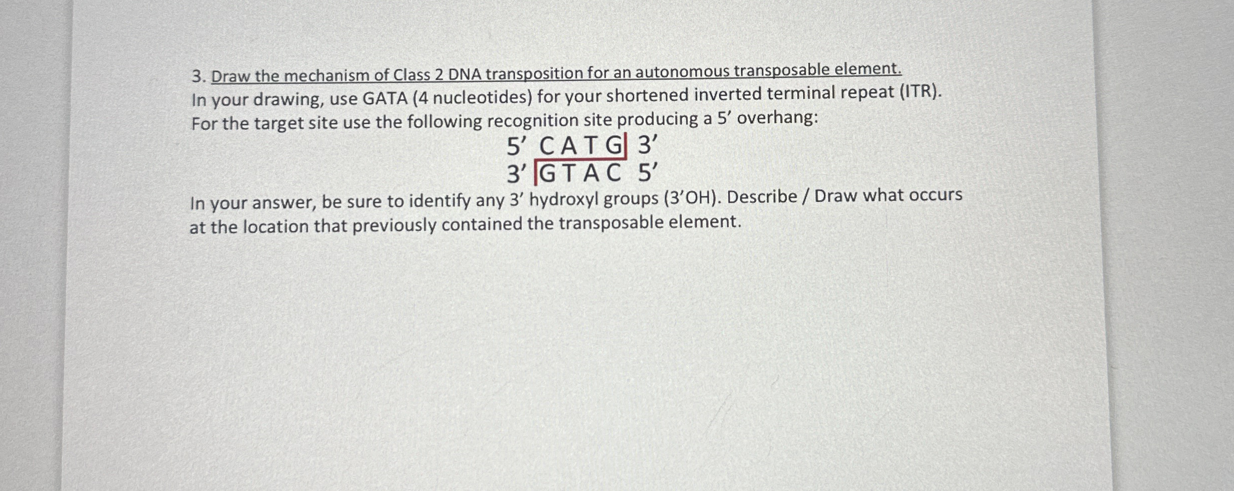 Diagram the second step of the Illumina DNA | Chegg.com